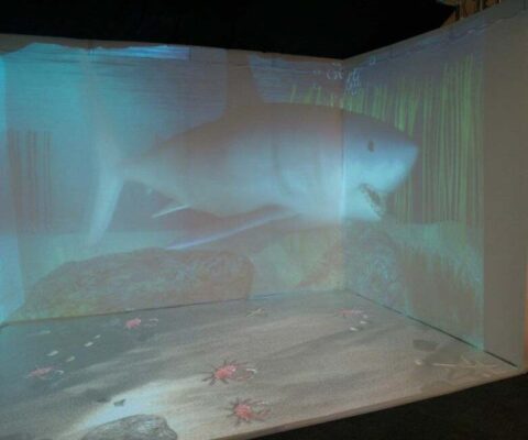 Espacios inmersivos e interactivos para la educación - CONADEIP