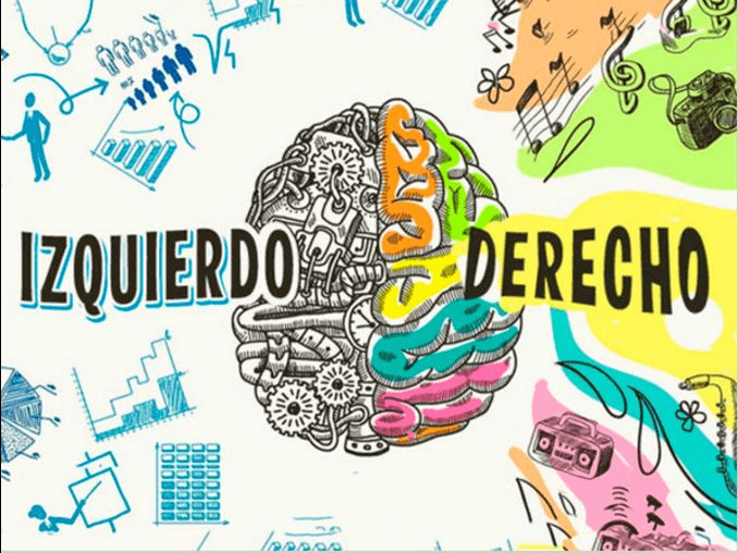 Los mejores recursos para trabajar en los dos hemisferios del cerebro ...