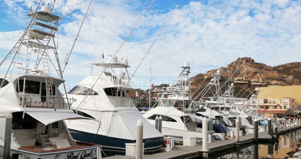 Tramite de Acceso a Recorridos Turísticos a muelle 1 de la API Cabo San ...