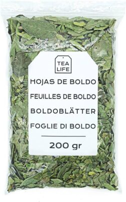 Qué beneficios tiene el té de boldo - CONADEIP