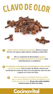 Qué beneficios tiene el té de clavo - CONADEIP