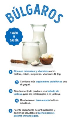 Qué beneficios tiene el yogurt de búlgaros - CONADEIP