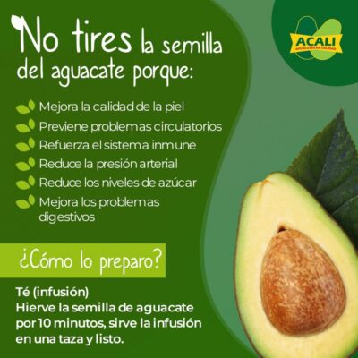Qué beneficios tiene la pepa de la palta - CONADEIP