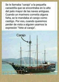 qué significa carajo - CONADEIP