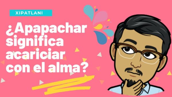 qué significa apapachar - CONADEIP