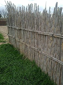 Tipos de Plantas - CONADEIP