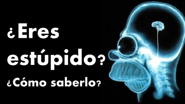 qué significa estúpido - CONADEIP