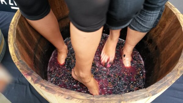 qué significa lagar - CONADEIP